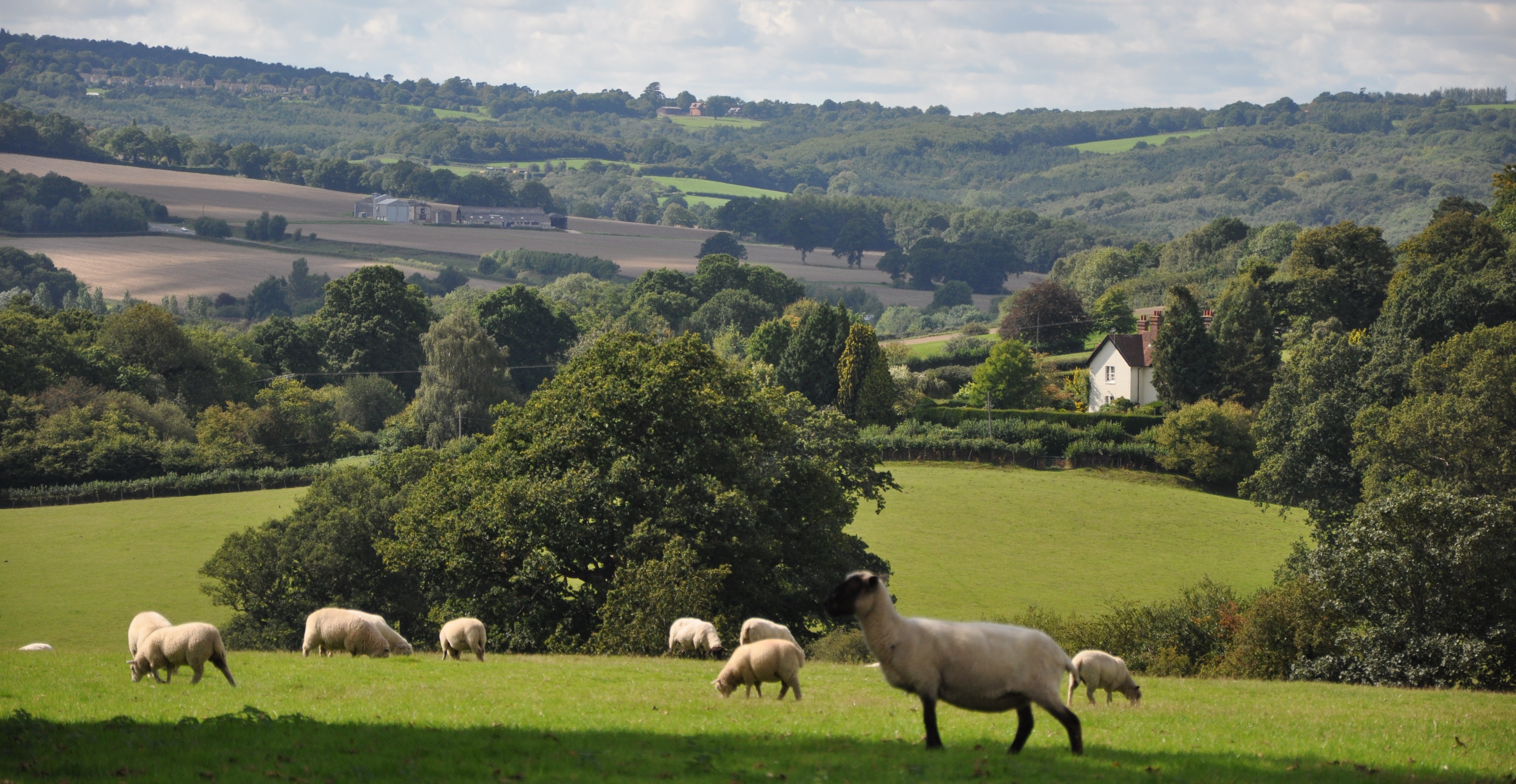 Race ARCHIVED RACE: Eridge Park 10 Mile Trail @ Tunbridge Wells, UK ...