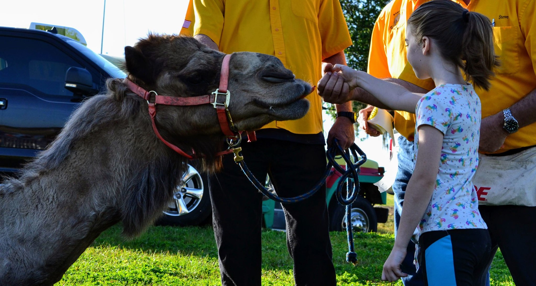 1 Mile, 5K Race ARCHIVED RACE: Bahia Shrine 5K Camel Walk/Run ...