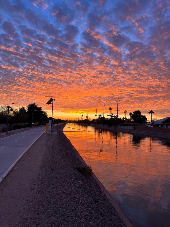 5K Race Battle of the Branches 5K Run/Walk Fundraiser @ Arizona Falls ...
