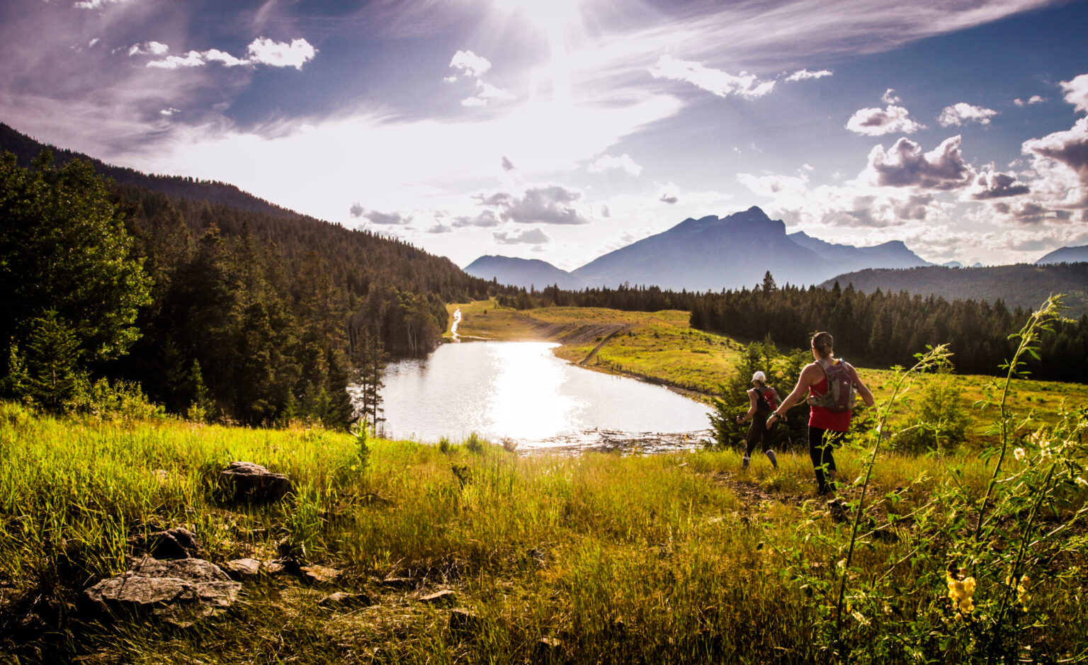 Alberta Races - Race Calendar Running